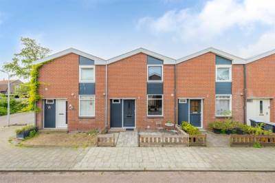 Hippisch Centrum De Delft B.V. Assendelft - Oozo.nl