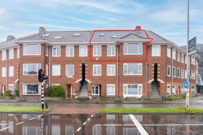 Viswinkel Zeeparel Utrecht - Oozo.nl