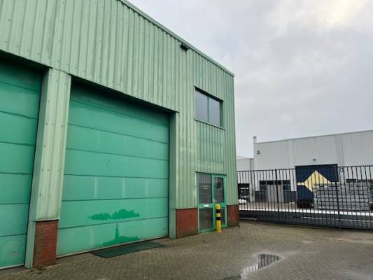 Vogelgriep vastgesteld bij kleinschalige houderij in Maasland - Oozo.nl